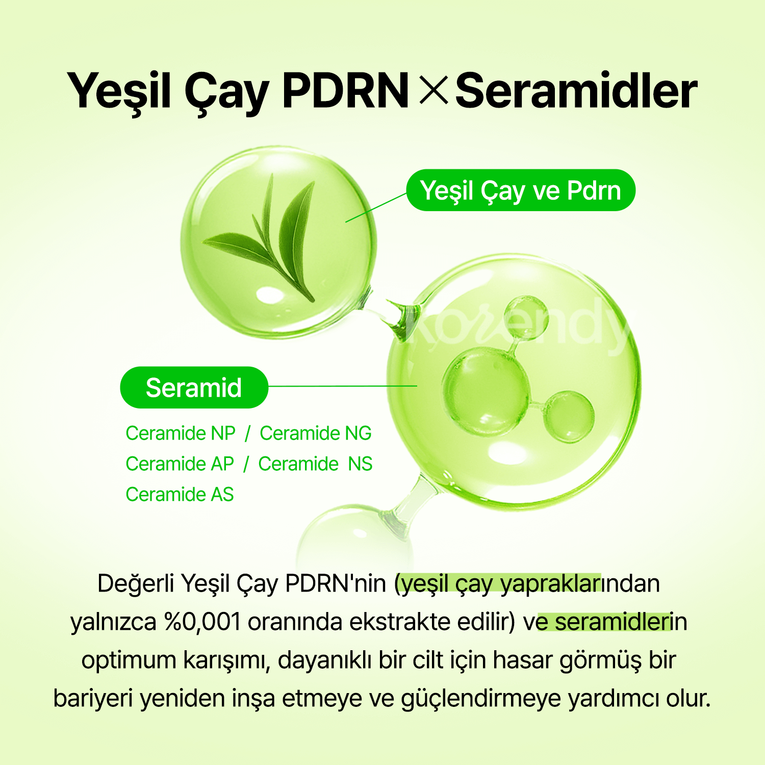 By Wishtrend Green Tea & Ceramide Barrier Cream – Korendy